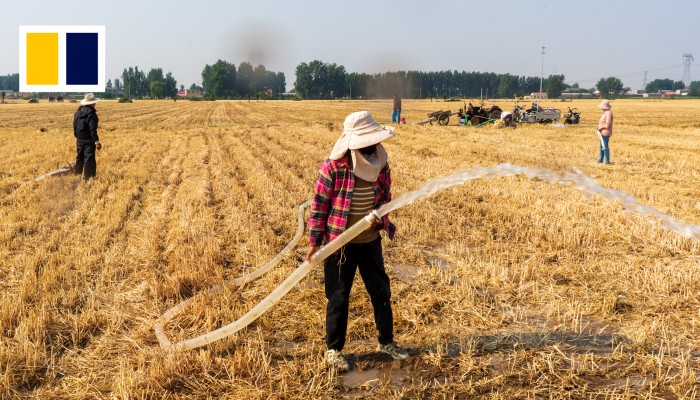 Extreme drought affects nearly 300 million in China, threatens crops ...