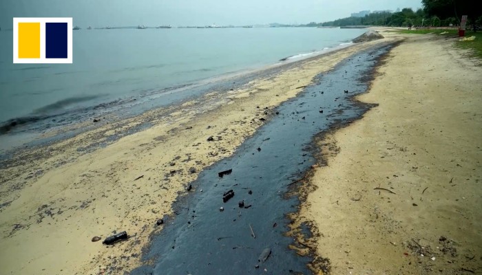 Singapore races to clean up oil slick from nature reserve as beaches ...