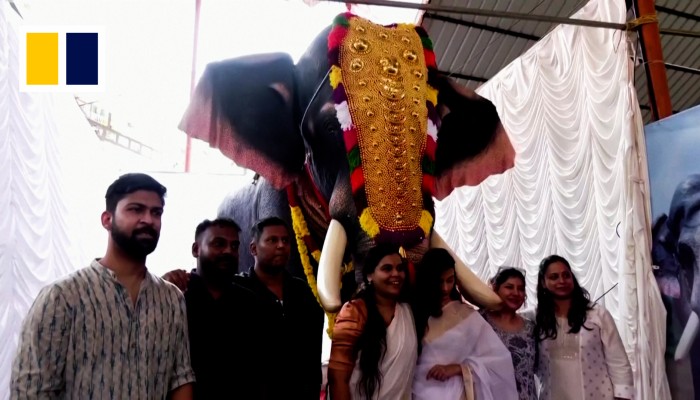 Indian temple uses lifelike robotic elephant in rituals to avoid ... Indian temple uses lifelike robotic elephant in rituals to avoid ...
