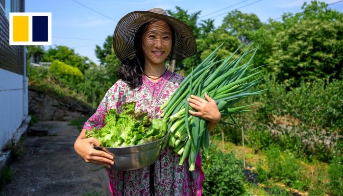 South Korean influencer promotes childless, unmarried life on YouTube ...