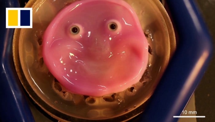 Japanese scientists graft ‘living skin’ onto robot face | South China ...