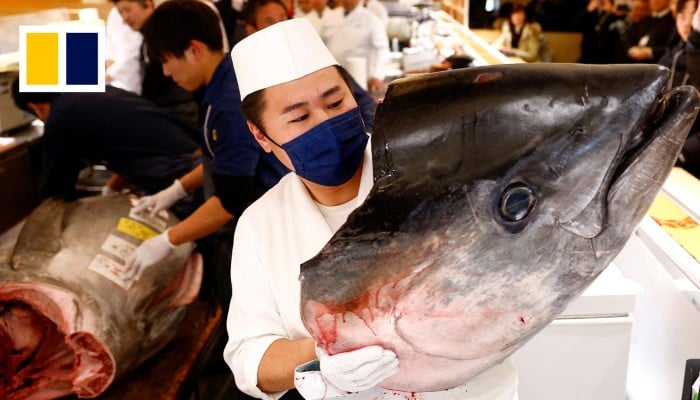 New Year’s tuna fetches US$1.3 million in Tokyo at Toyosu fish market ...