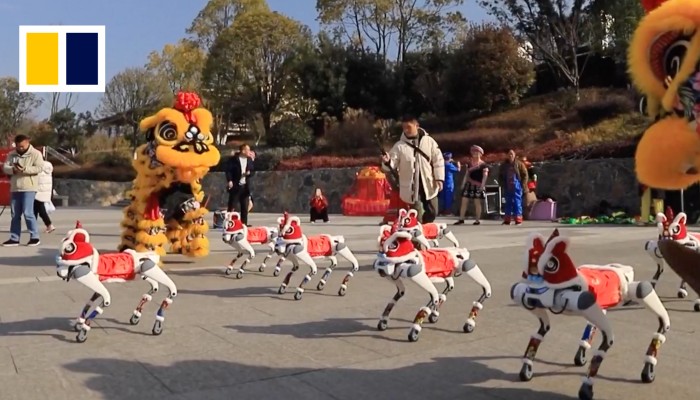 Robot dogs in China perform lion dance during Lunar New Year ...