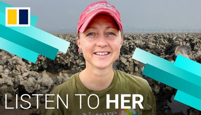 From old oyster farm to new reefs: Marine Thomas’ shells boost Hong ...