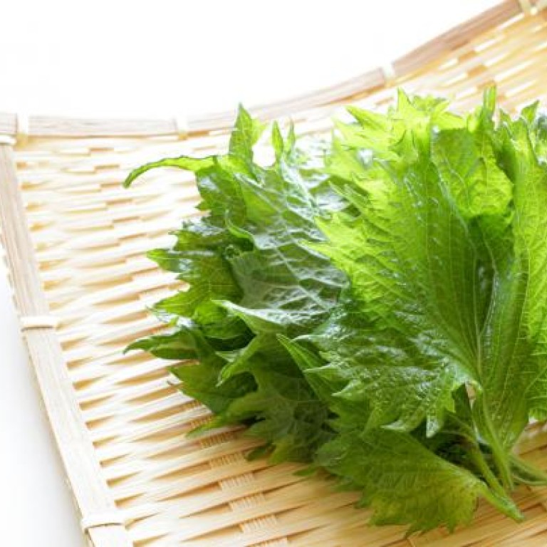 Seasons: shiso simple | South China Morning Post