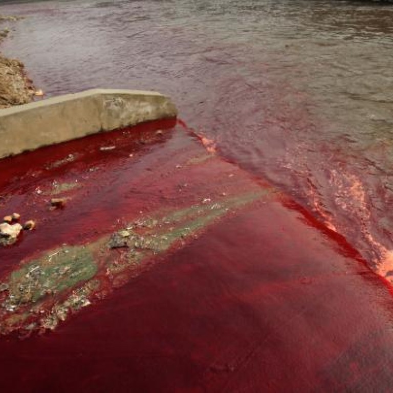 Opinion: Textile industry must lead in clean-up of polluting production ...