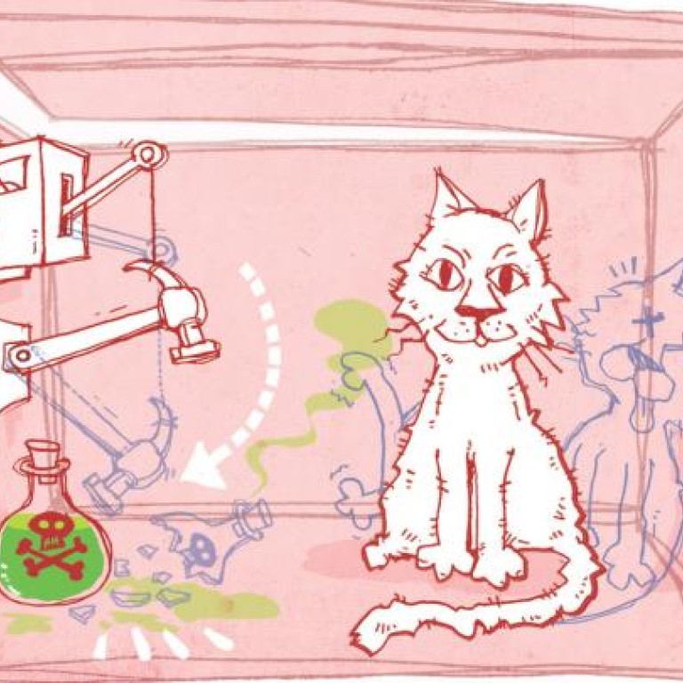 schrodinger's cat article