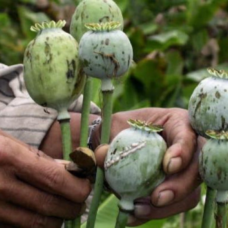 Asian drug boom fuelling opium cultivation, says UN | South China ...