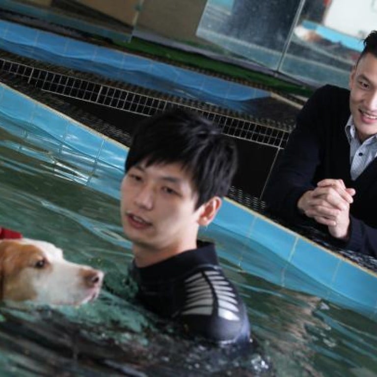 In the luxury dog house | South China Morning Post