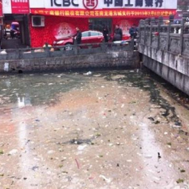 New offer made to another official to swim in polluted river | South ...