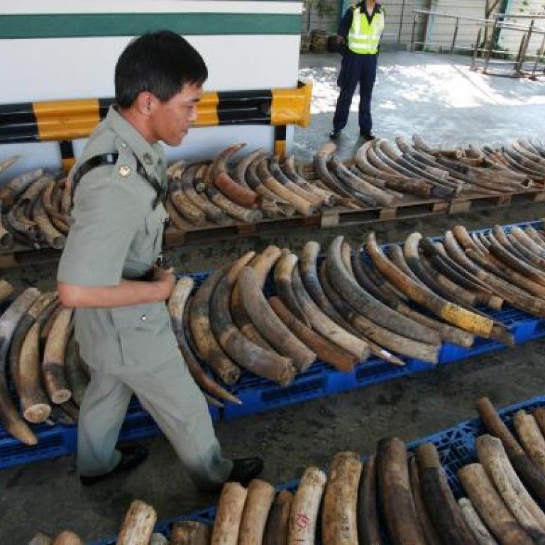 Hand of organised crime in ivory trade | South China Morning Post