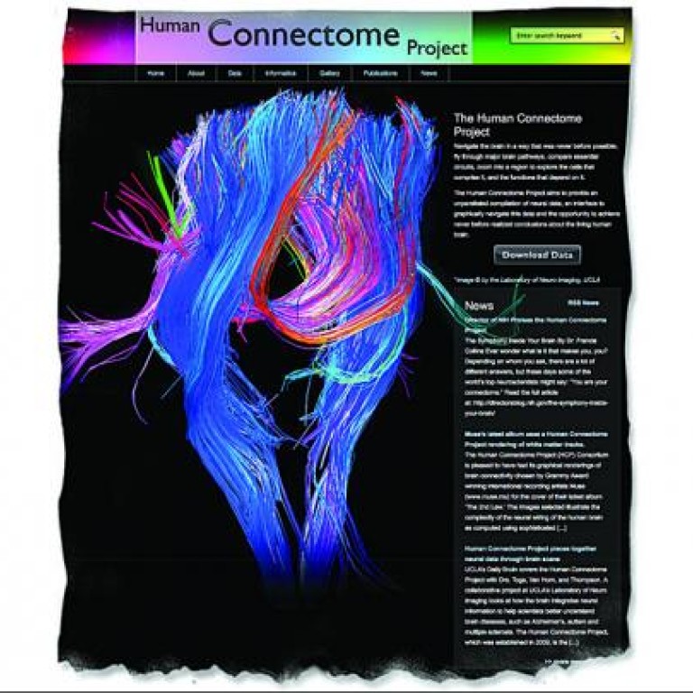 Mapping human brain may unravel mystery of the mind | South China ...