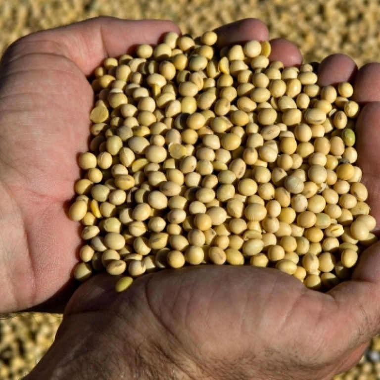 Soya bean imports revive fears in China about genetically modified food ...