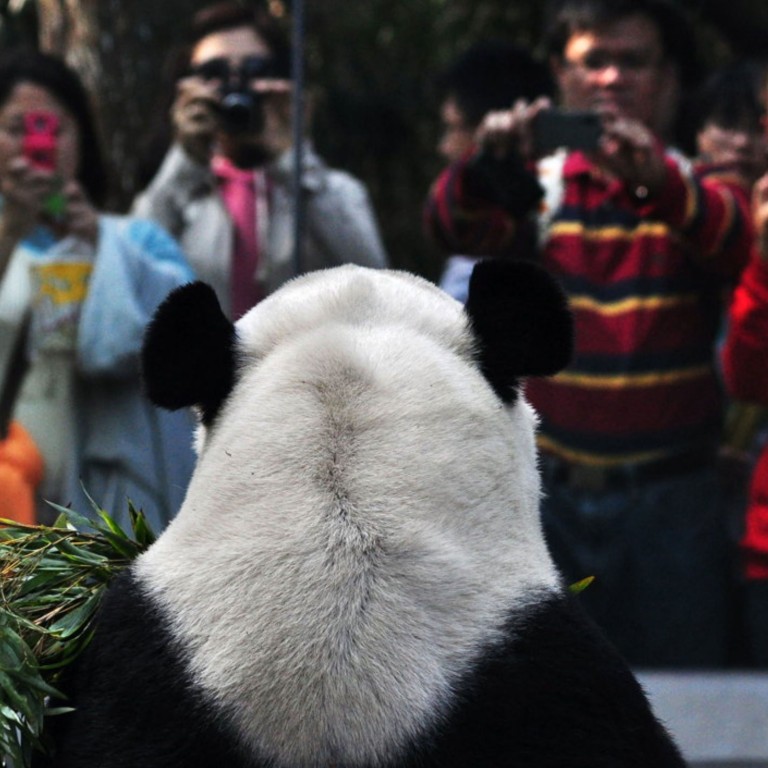 Political row breaks out in Belgium over housing of Chinese pandas ...