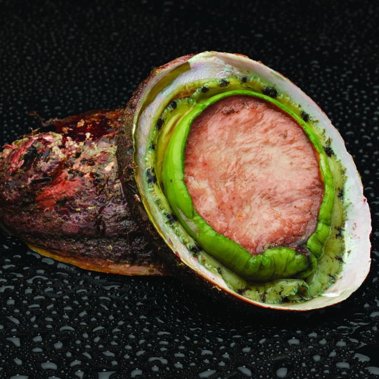 Tasmanian wild-caught abalone diver tells of the dangers of the deep ...