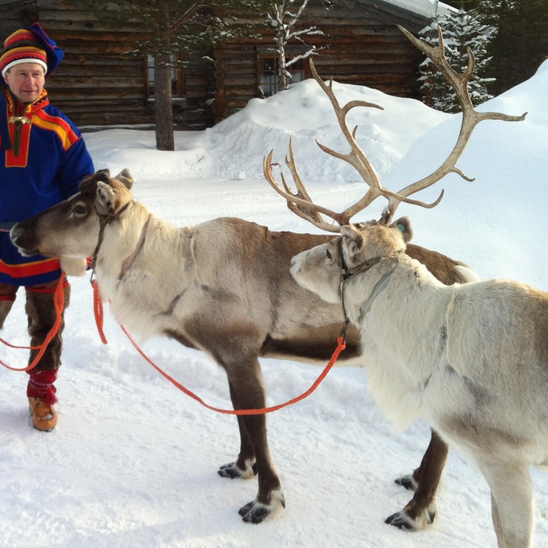 Scientists unravel eye-colour changes that allow reindeer to cope in ...