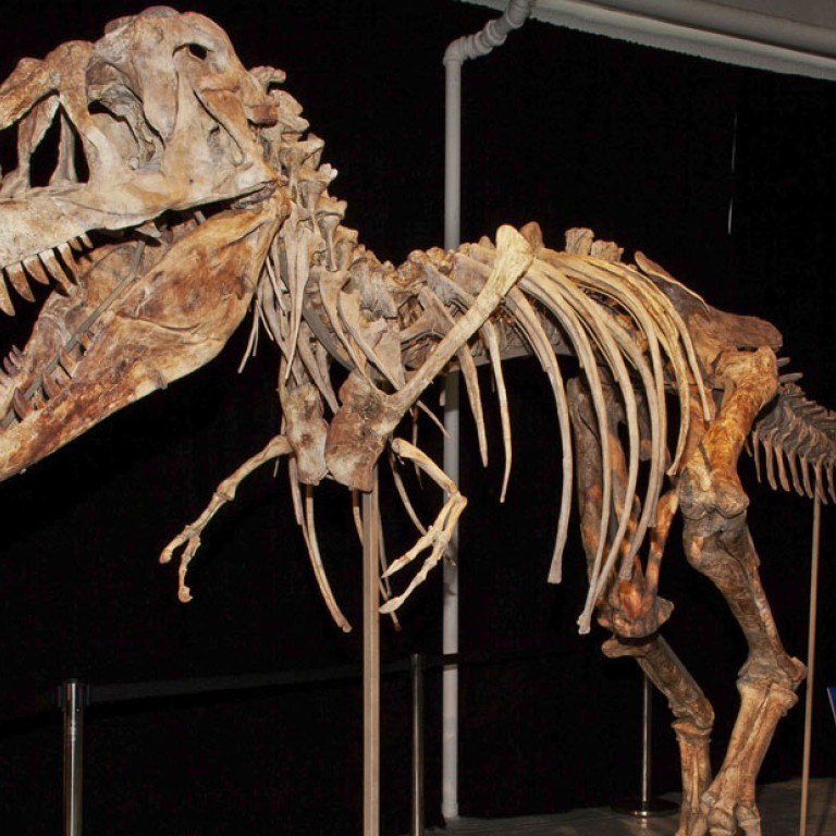Traces of pigment on dinosaur fossils a first clue to their skin colour ...