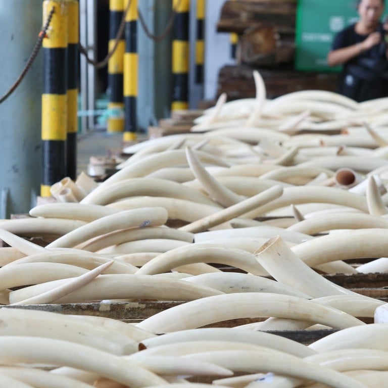 Split over fate of 33-tonne ivory pile as some say 'don't destroy it ...