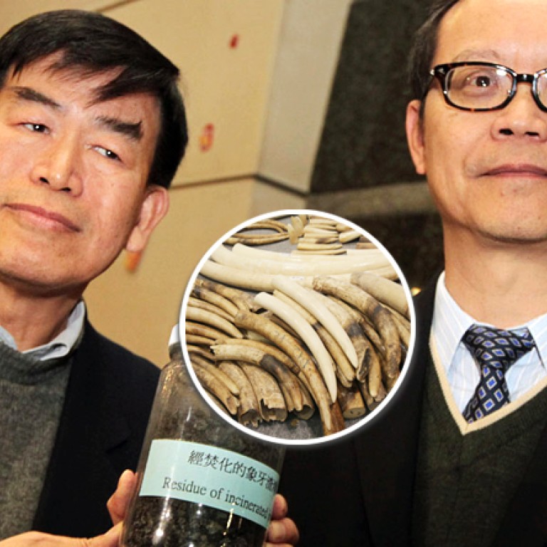 Hong Kong to destroy 28 tonnes of seized ivory after advisers endorse ...