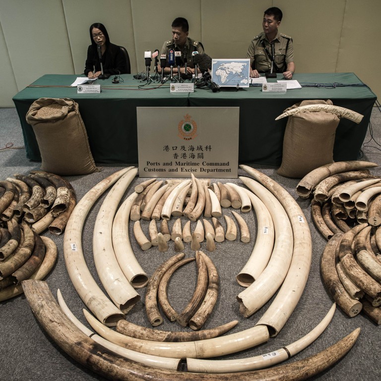 Destruction of illegal ivory the right policy for Hong Kong | South ...
