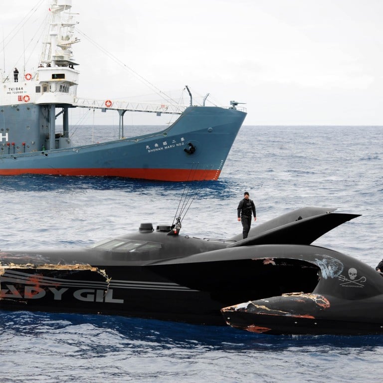 New Zealand summons Japan envoy over whaling ship's 'annoying' breach ...