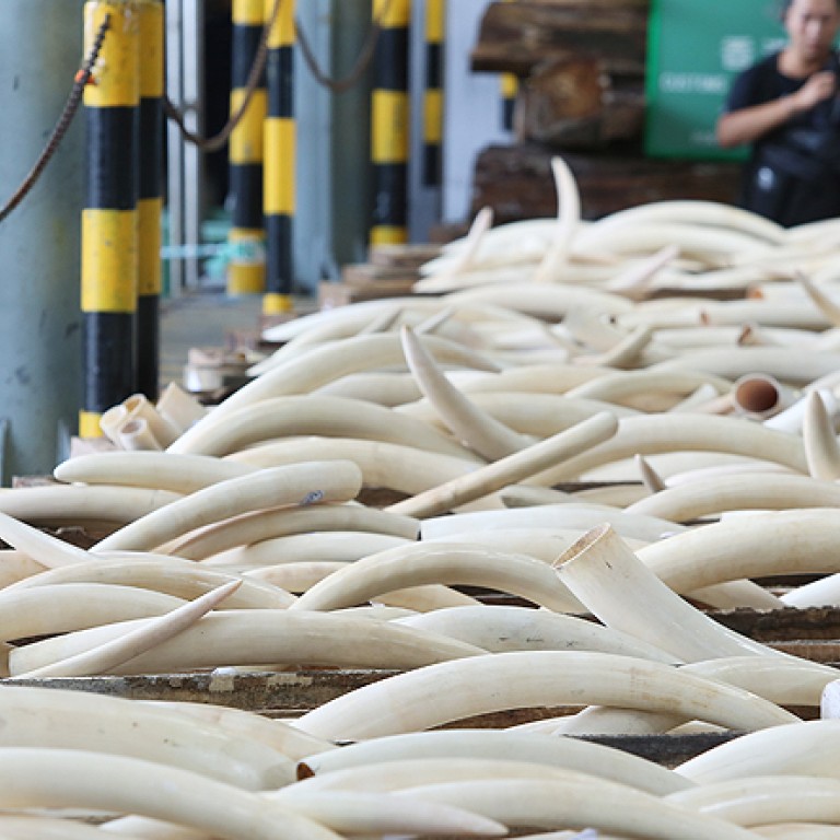 Department uses 6.5 tonnes of ivory to test best method of its disposal ...