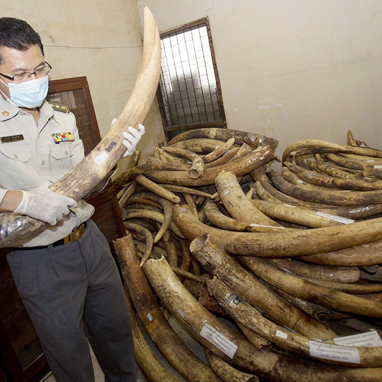 Thailand warned it faces international sanctions over illegal ivory ...