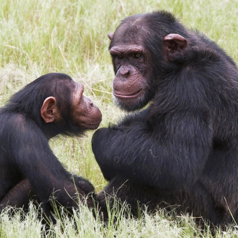 1920s Kinshasa was ground zero for HIV, gene sequencing shows | South ...