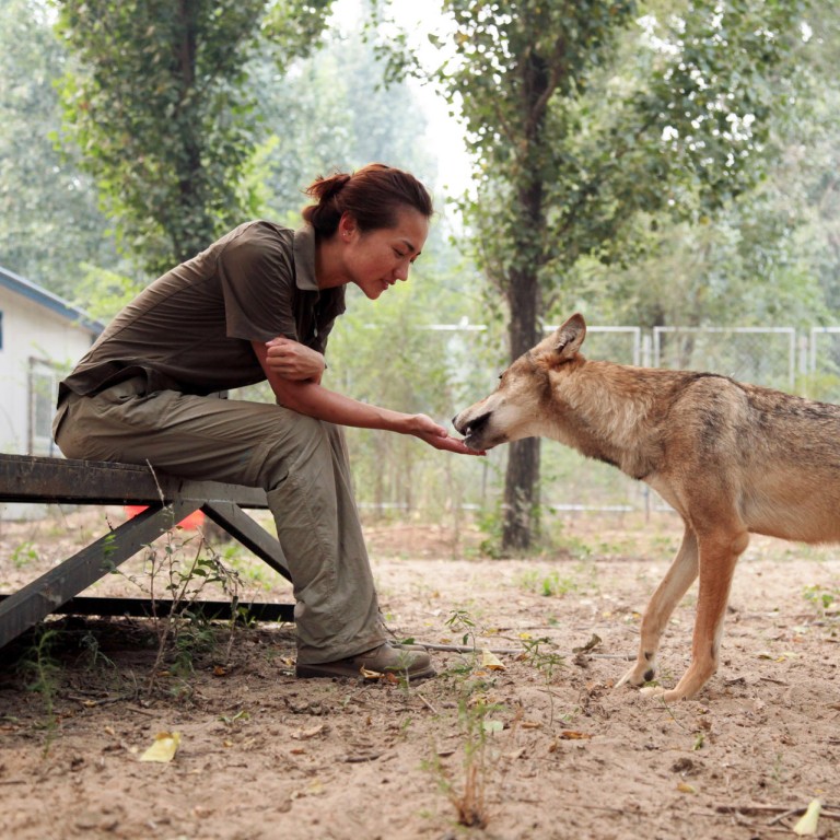 Call of the wild proves too strong for Chinese animal lover Rain Wu ...