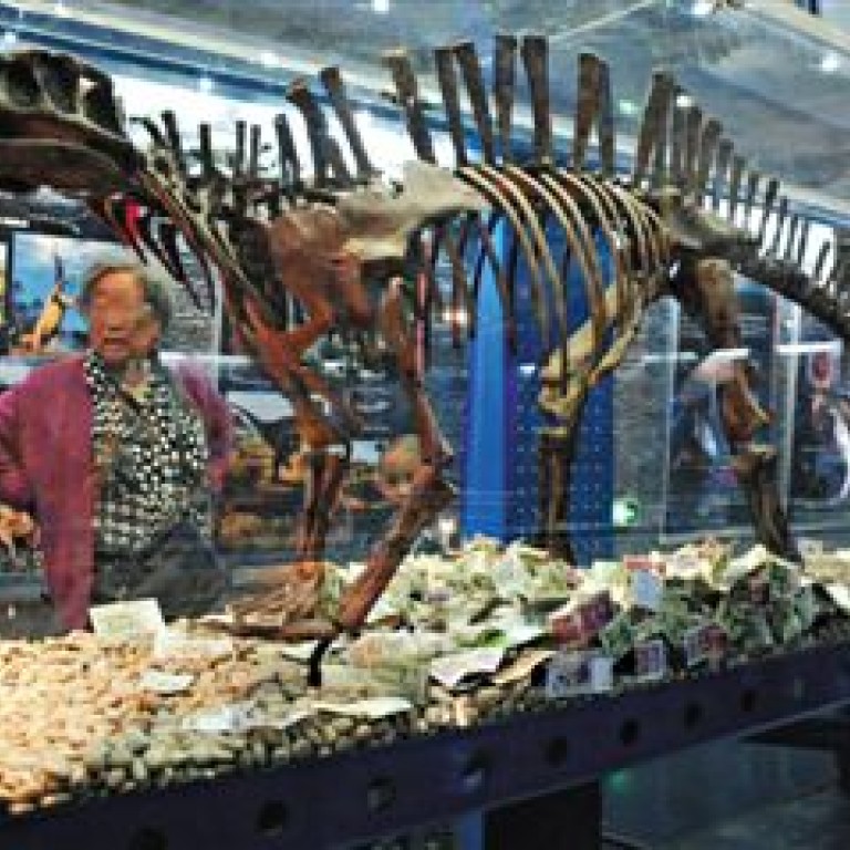Dinosaur display in Chinese museum ‘used as donations box’ | South ...