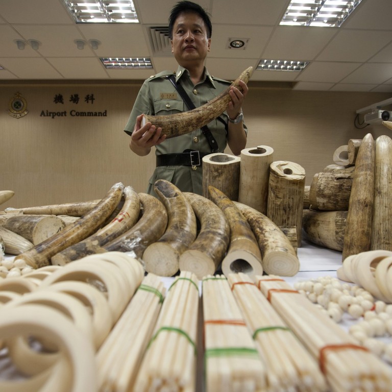 China’s ivory market looks to be cooling amid Beijing’s restrictions ...