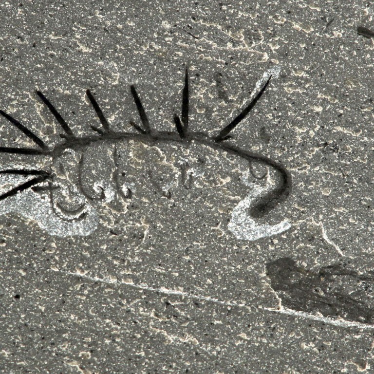 Scientists discover eyes and teeth in prehistoric worm after realising ...