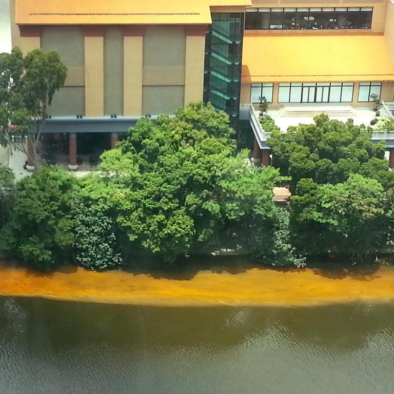 Thick sludge floating down Hong Kong river sparks illegal waste ...