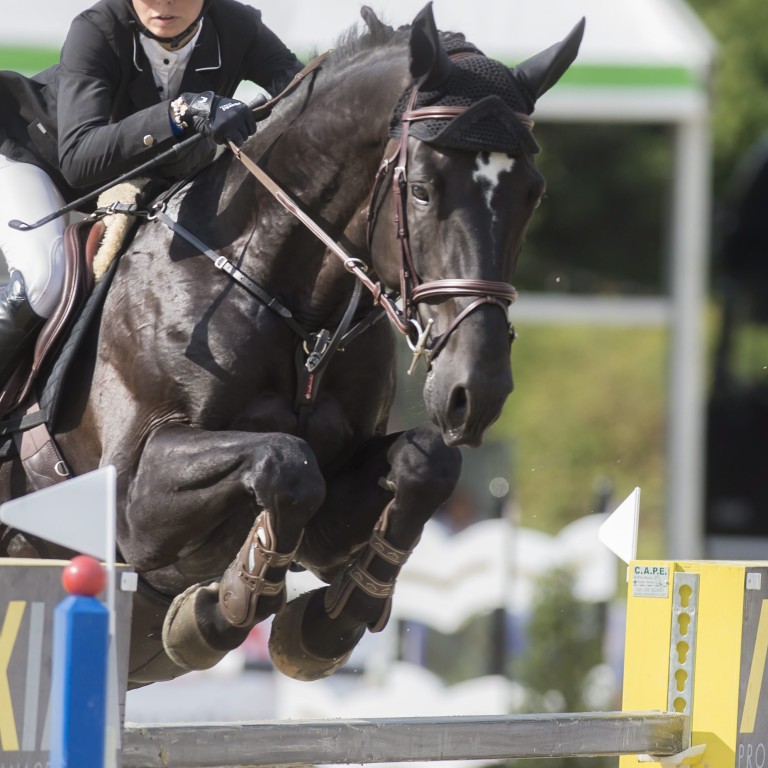 Outbreak of contagious horse disease glanders near Rio Olympic Games ...