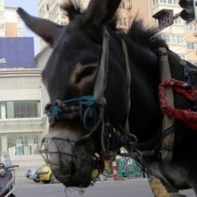 No laws broken: restaurant in Chinese city slaughters and butchers ...