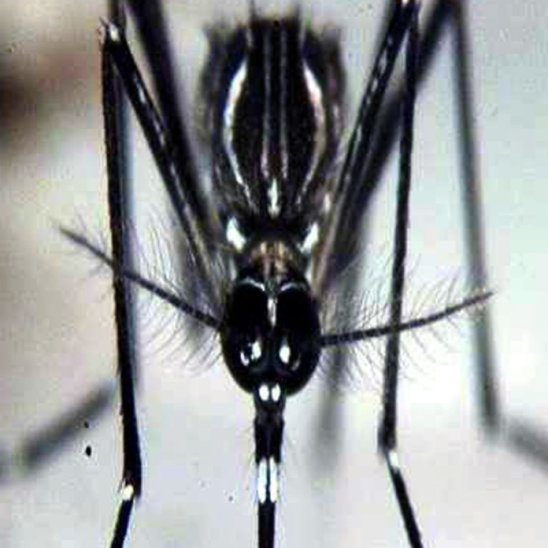 Dengue fever in Taiwan rises 35pc this year as cases exceed 20,000 ...