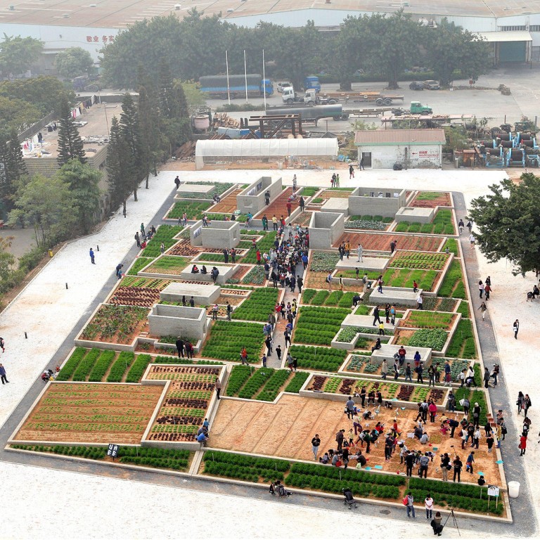 Rusted-out Shenzhen factory reborn as a thriving urban farm | South ...