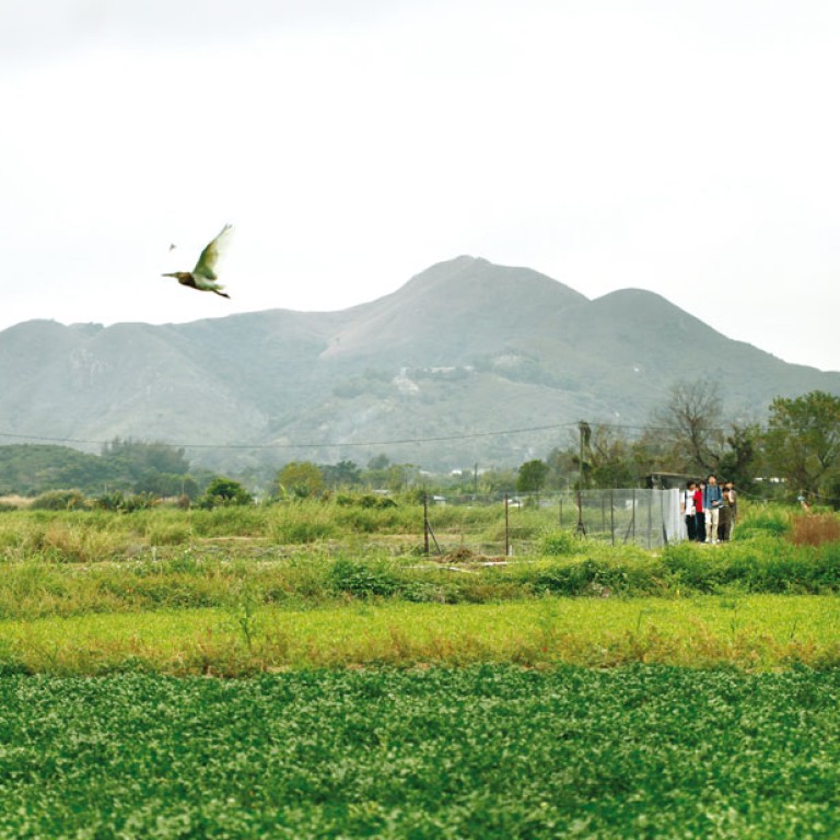 Whose Land is it Anyway? | South China Morning Post