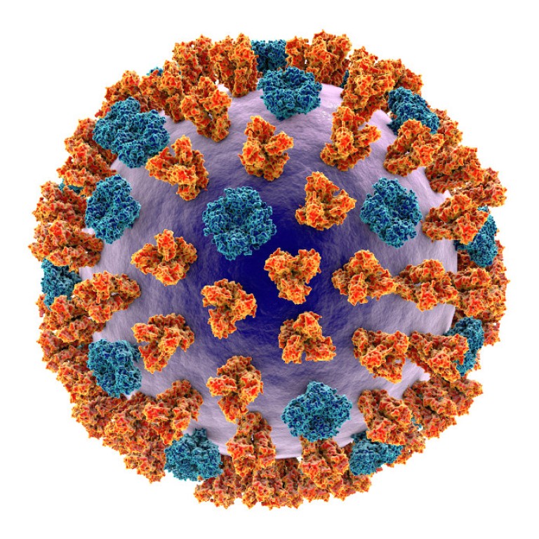 human flu virus name