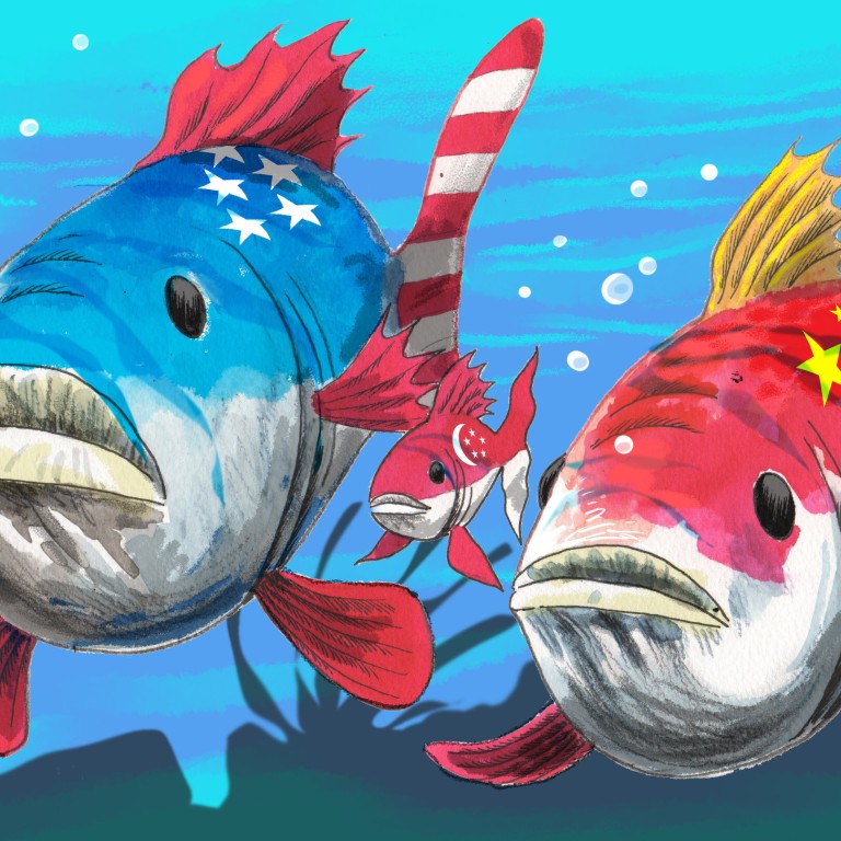 Opinion | How ‘poisonous shrimp’ Singapore became the US’ undeclared ...