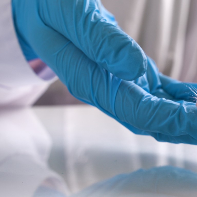 Taiwan on Covid-19 alert after infected mouse bites lab worker | South ...