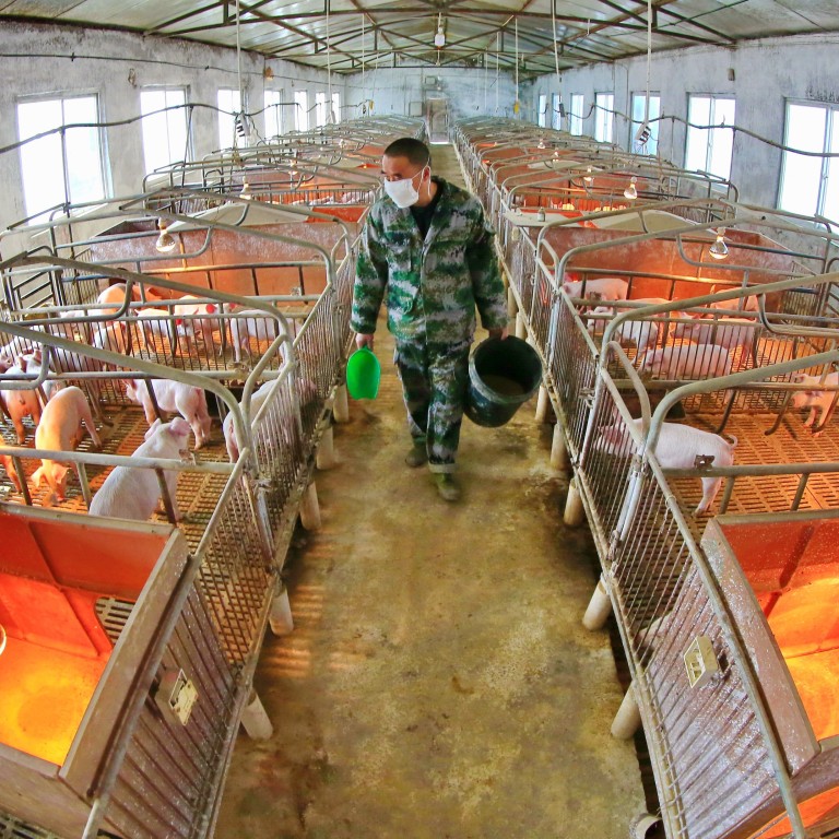 China pork crisis | South China Morning Post