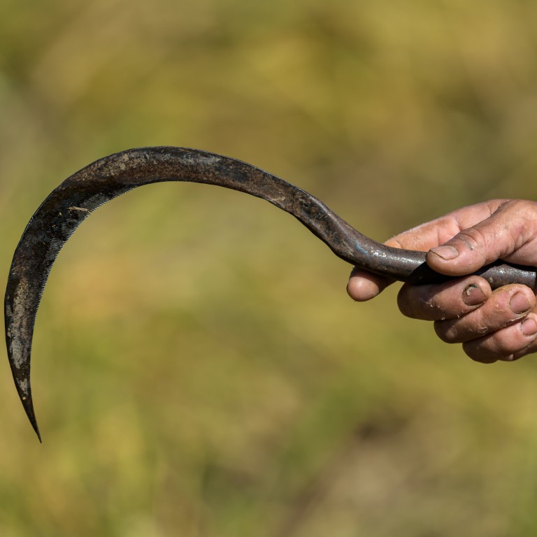 Thai man charged with murder after Briton dies in ‘rice sickle attack ...