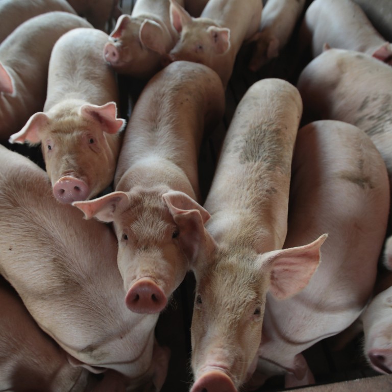 WH Group posts 7.2 per cent jump in 2021 profit on higher sales, but ...