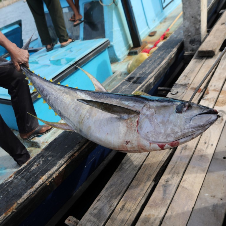 More than just tuna: US casts a wider net to compete with China in the ...