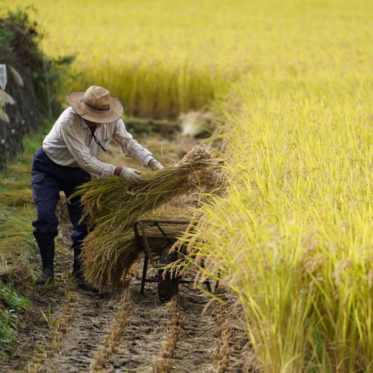 In Japan, changing diets raise ‘famine’ fears as food – and Taiwan ...