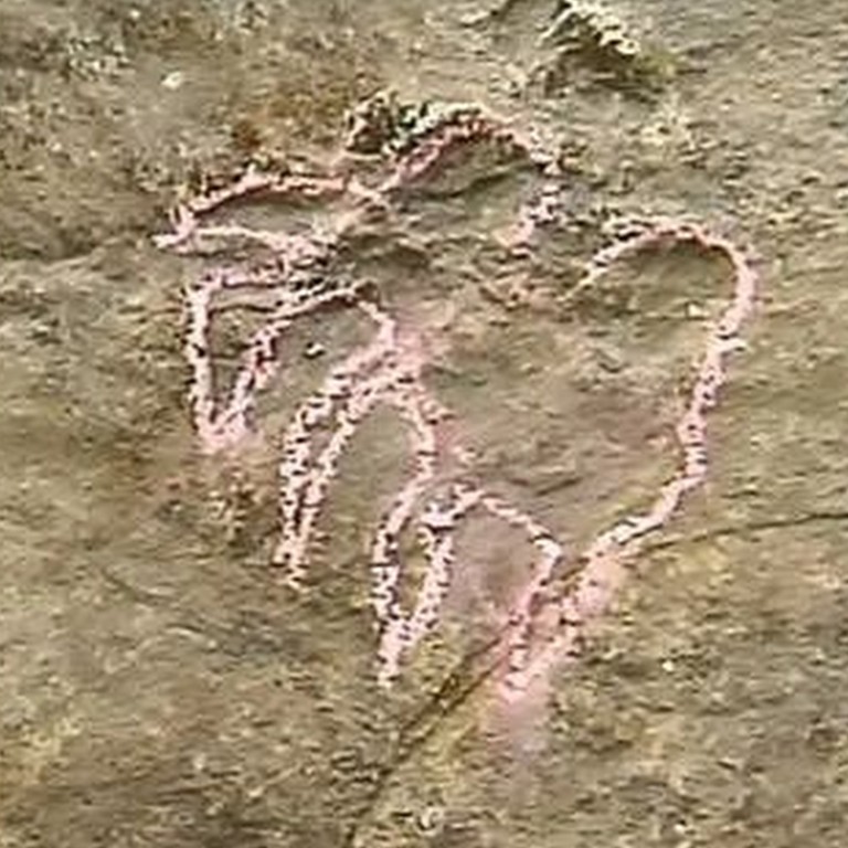 Fossilised footprints in China’s ‘dinosaur city’ shed light on 100 ...