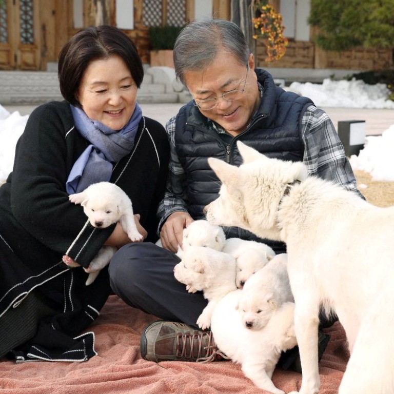 South Korea’s Moon Jae-in to give up dogs gifted by Kim Jong-un in ...