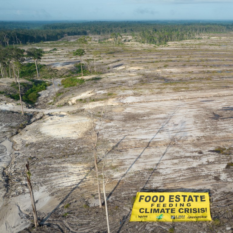 Do Indonesia’s food estates solve the nation’s food crisis? Activists ...