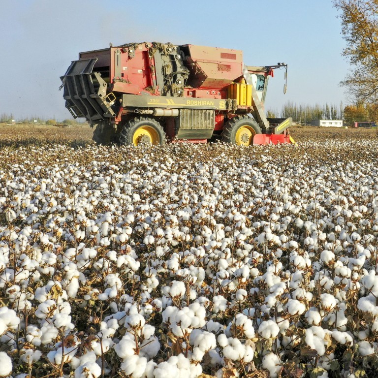 Xinjiang cotton dispute - latest news and updates | South China Morning ...